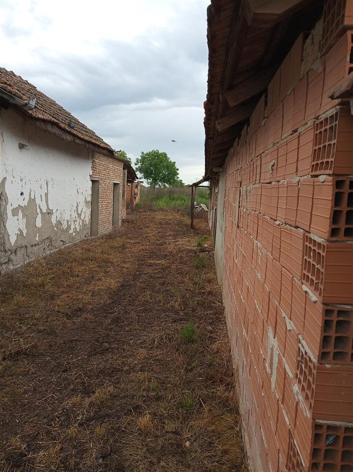 Salas u Horgosu 1,6ha | Subotica Salas u Horgosu 1,6ha | Subotica