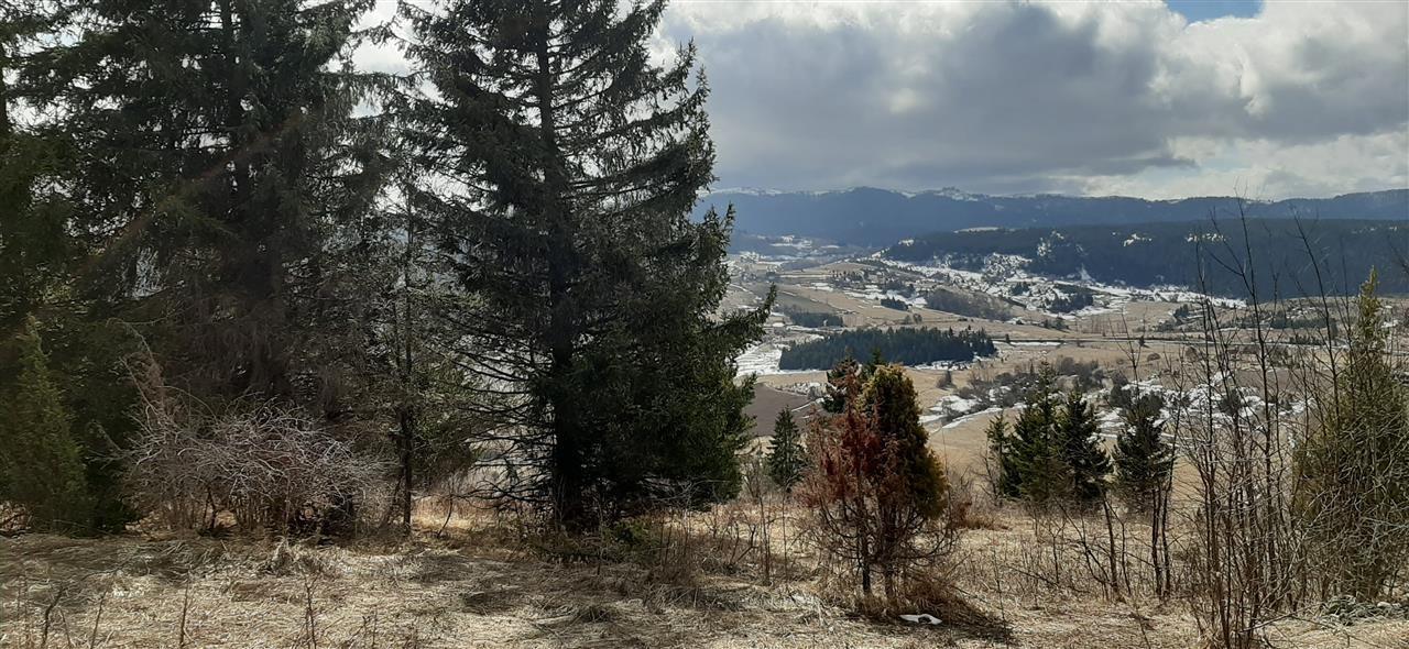 Zlatar planina placevi. | Beograd